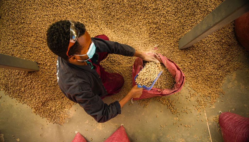 Gallery – HealthyFire